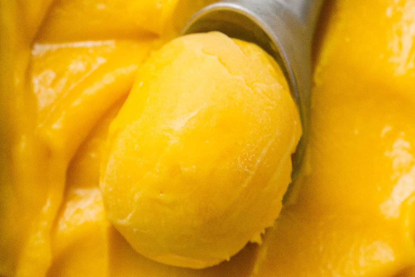 Mango Sorbet | Foodtasia
