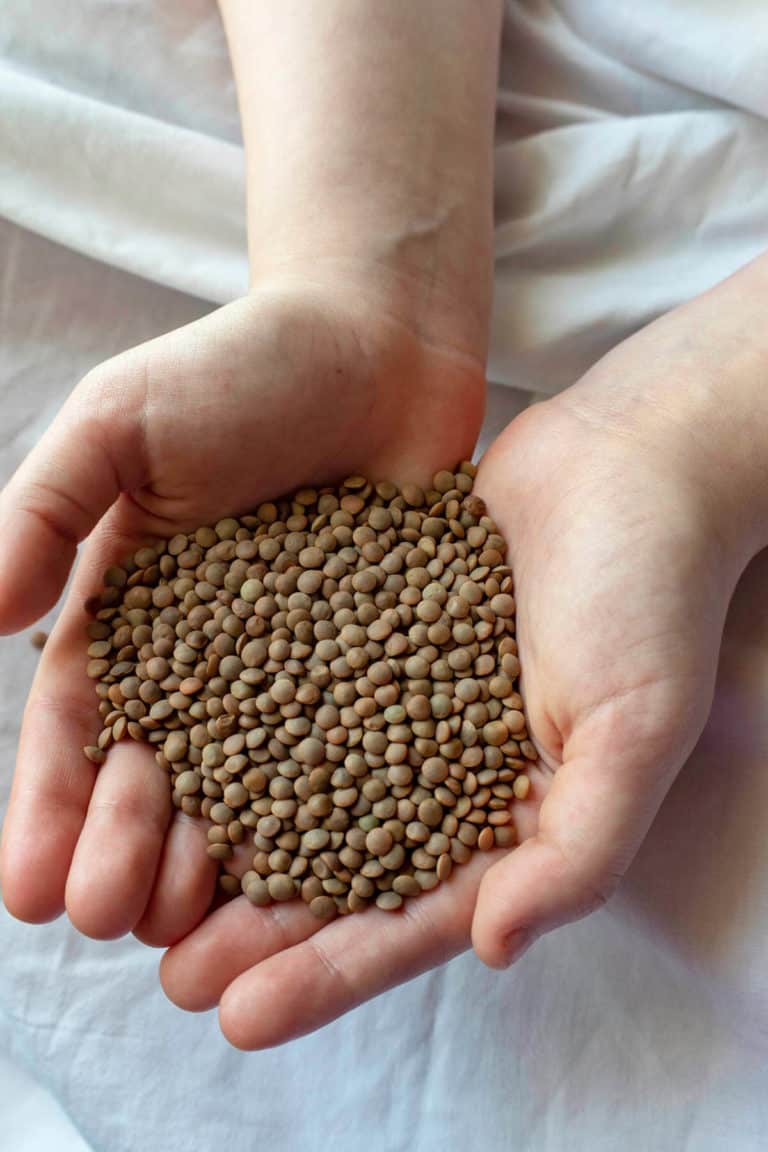 Egyptian Koshari Recipe (Kushari) | Foodtasia