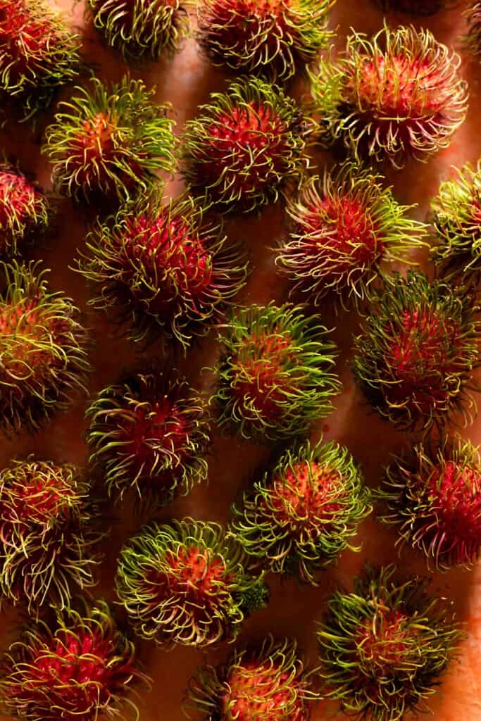 What is Rambutan and How to Eat It | Foodtasia