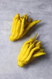 What is Buddha's Hand and 30 Ways to Use It | Foodtasia