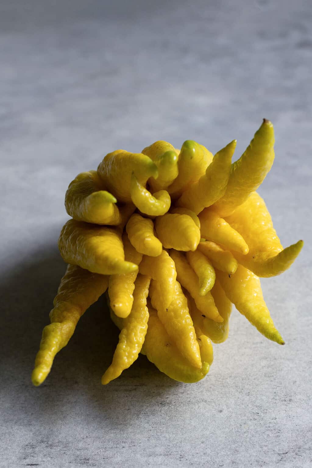 What is Buddha's Hand and 30 Ways to Use It | Foodtasia
