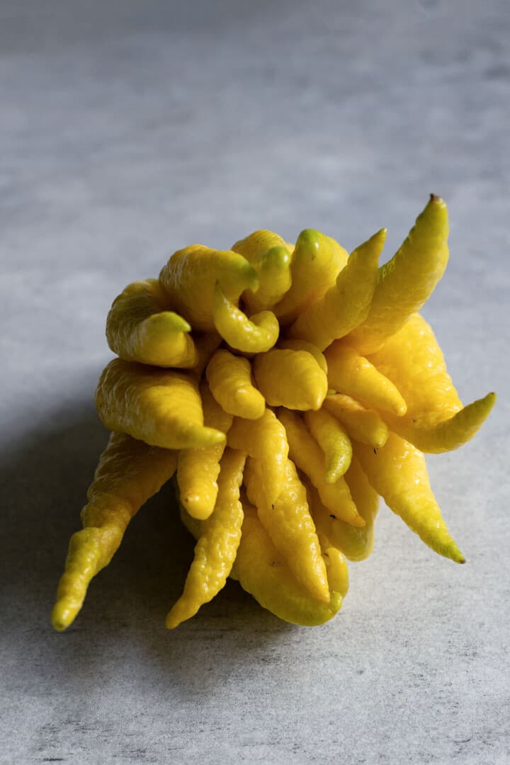 What is Buddha's Hand and 30 Ways to Use It | Foodtasia