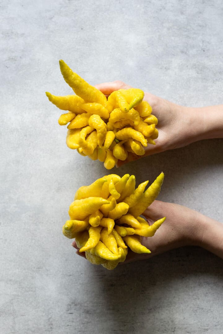 What is Buddha's Hand and 30 Ways to Use It | Foodtasia